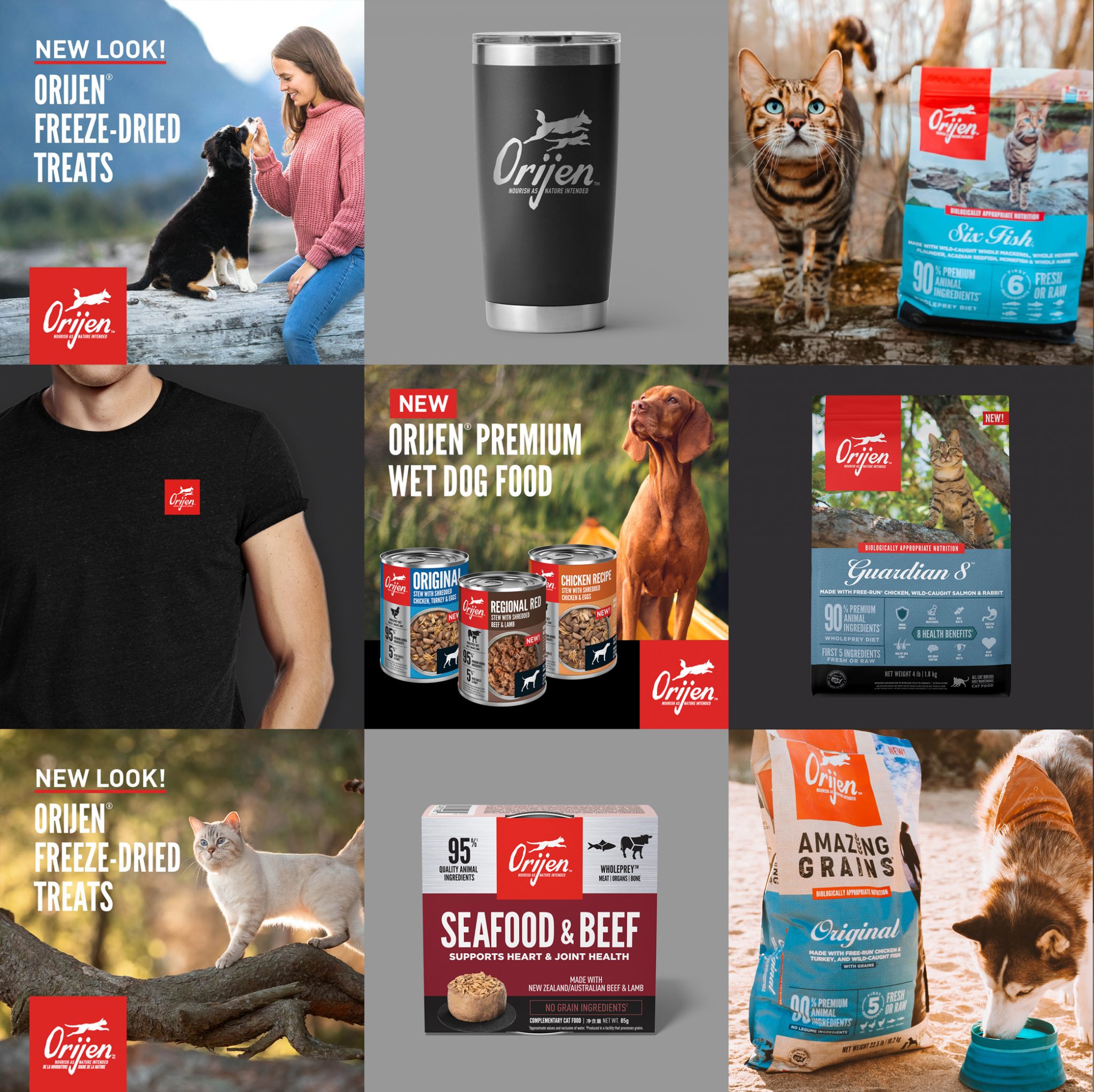 ORIJEN-logo-executions - Steven Efondo, CDP™